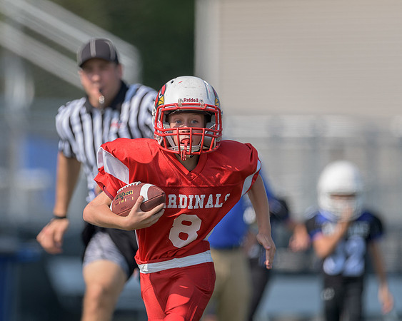 Glenn Nagel Photography | St. Michael Football 9/15/19 | St Michael ...