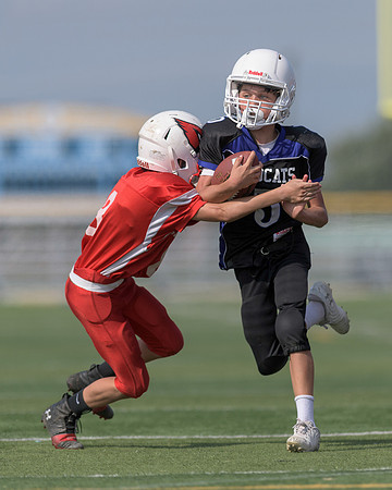 Glenn Nagel Photography | St. Michael Football 9/15/19 | St Michael ...